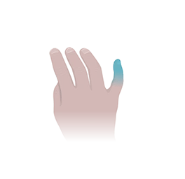 Daily Typing Practice | Easy Passage 119